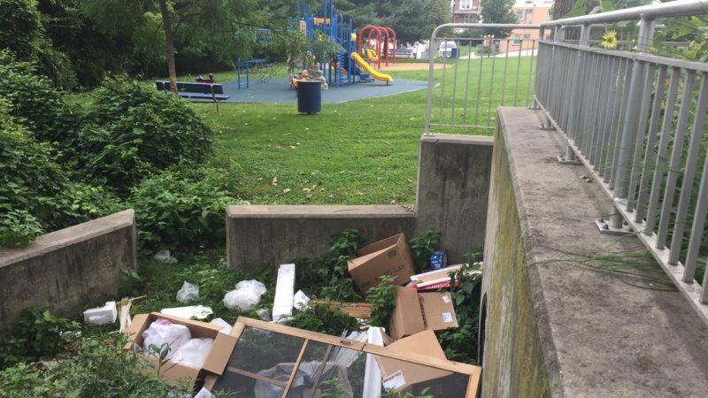 trash header - MoreThanTheCurve