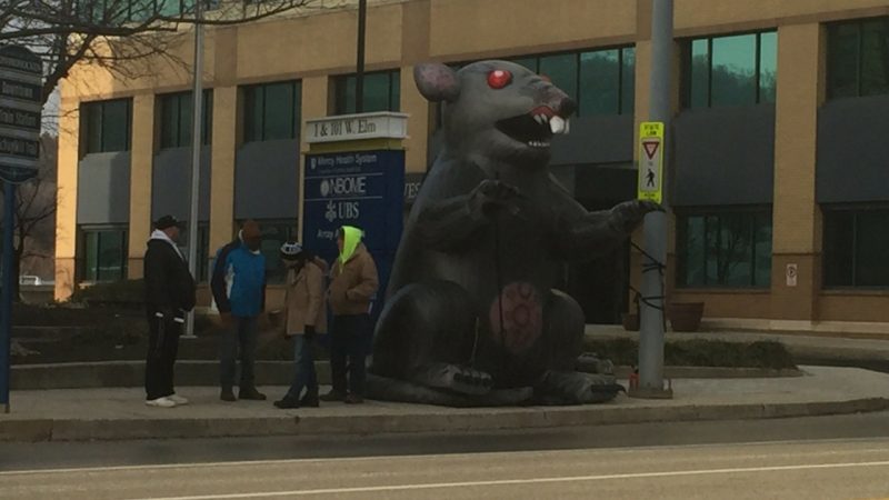 Inflatable Union Rat on West Elm Street Today - MoreThanTheCurve
