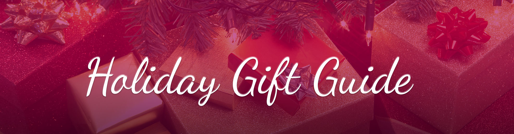 Holiday Gift Guide 2018 - MoreThanTheCurve
