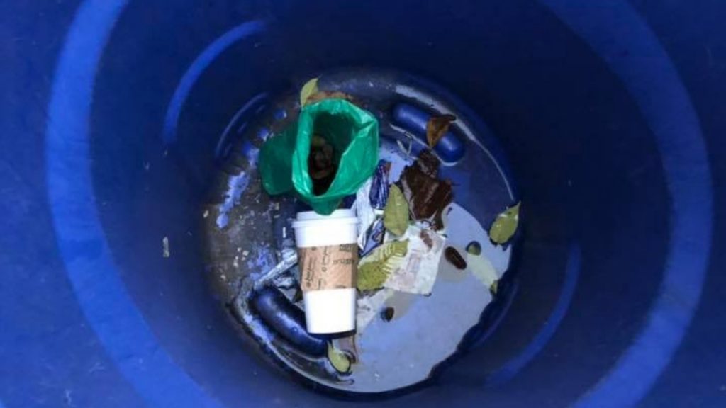 Dog Poop Bandit Strikes Again in West Conshohocken - MoreThanTheCurve