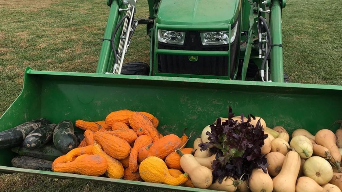 Fall Harvest Happy Hour - MoreThanTheCurve