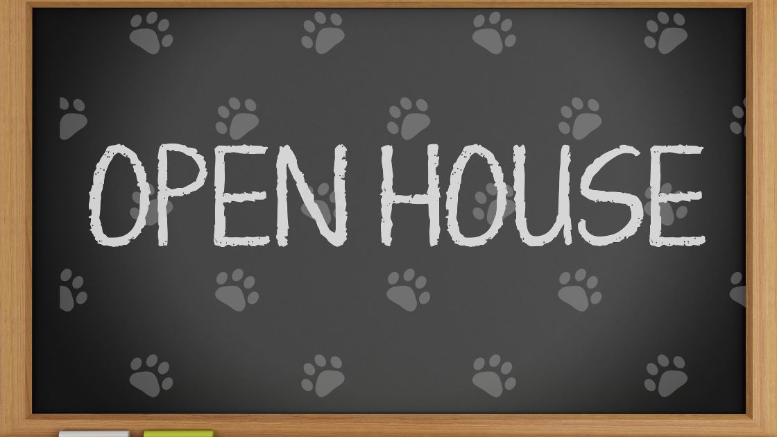 Open House at Spring Mill Veterinary Hospital - MoreThanTheCurve