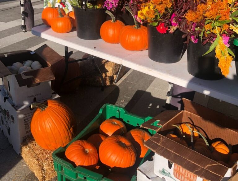 pumpkins email - MoreThanTheCurve