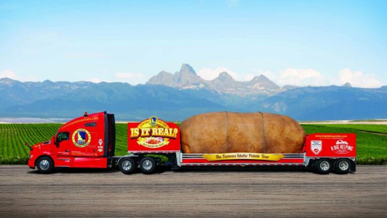 spud header - MoreThanTheCurve